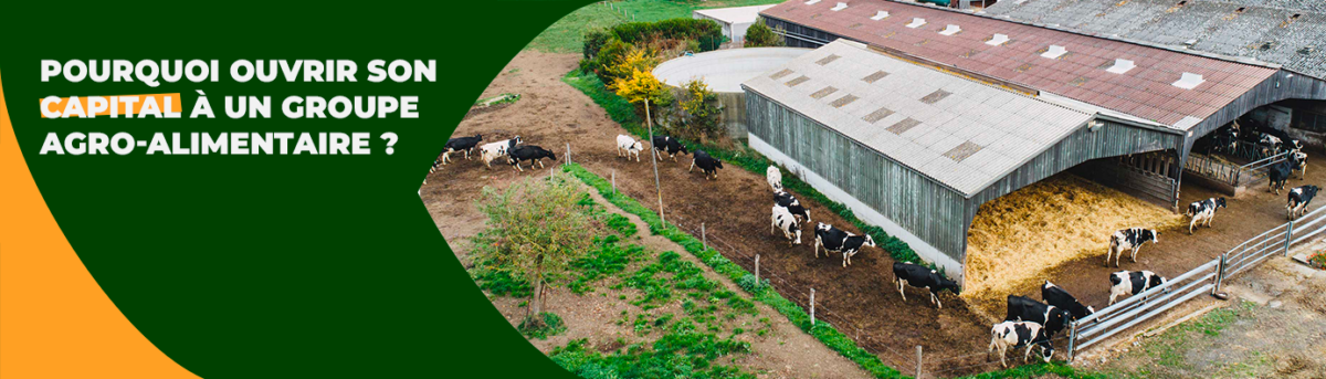 Groupe de PME agroalimentaires et de fermes agricoles | Quaterra